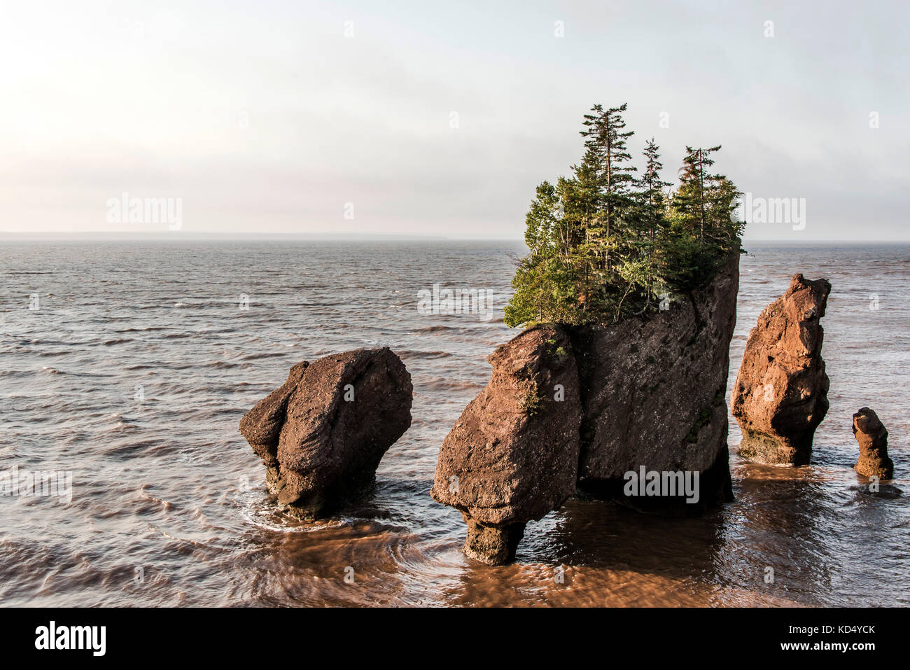 Sunrise at famous Hopewell Rocks geologigal formations at low tide ...