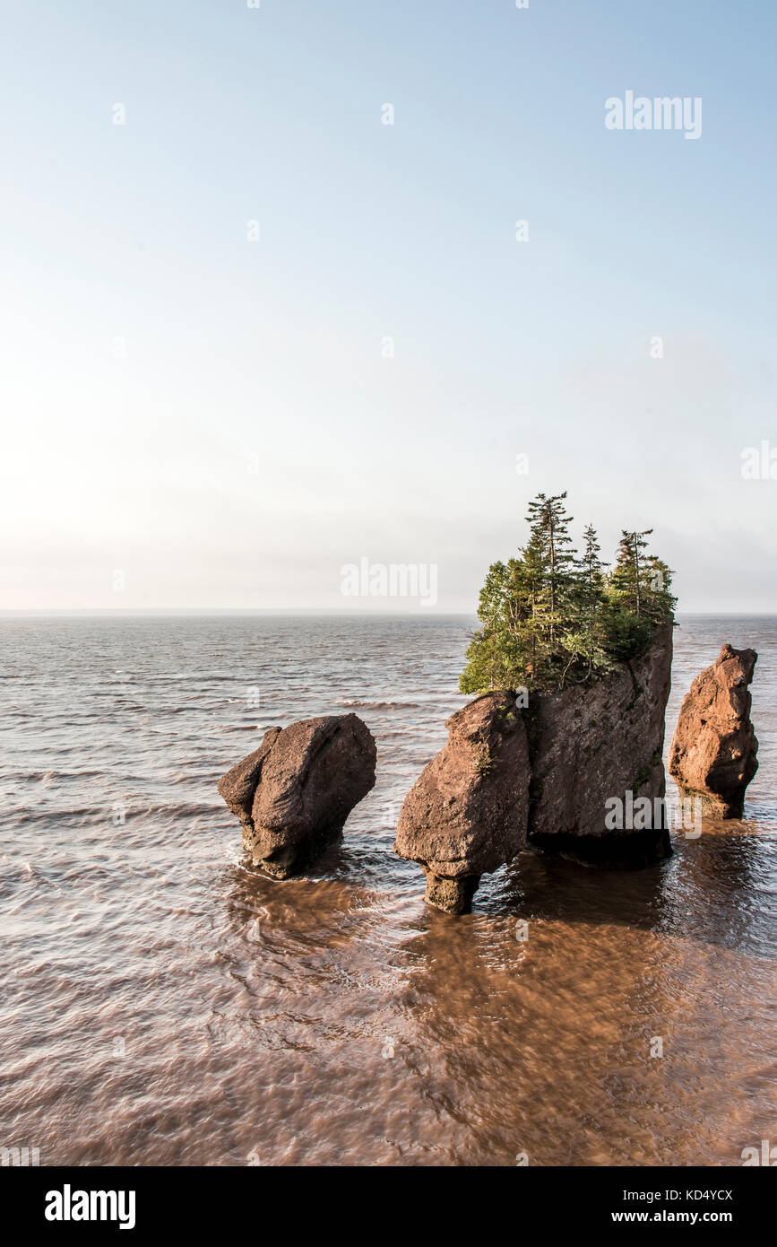 Sunrise at famous Hopewell Rocks geologigal formations at low tide ...