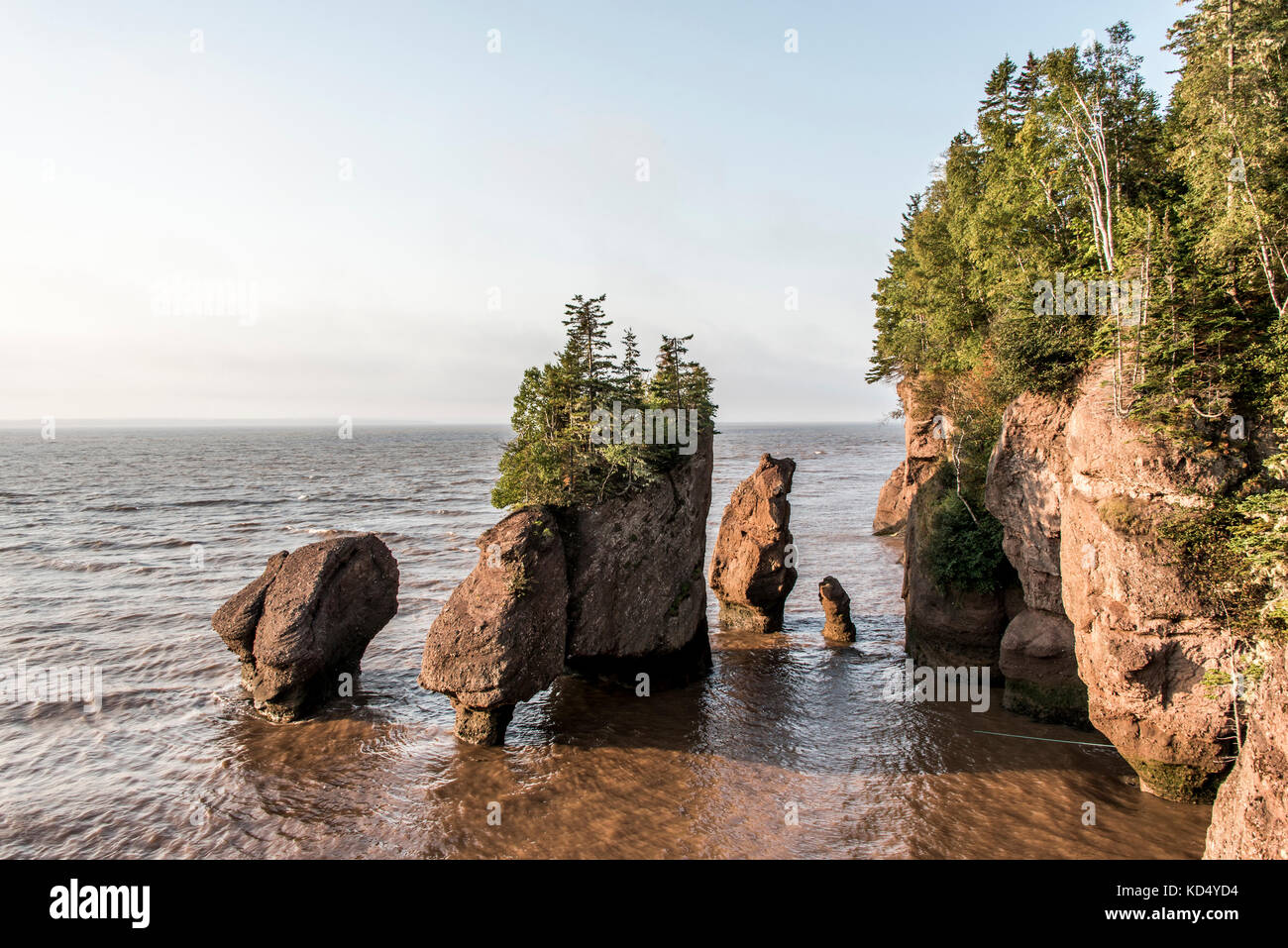 Sunrise at famous Hopewell Rocks geologigal formations at low tide ...