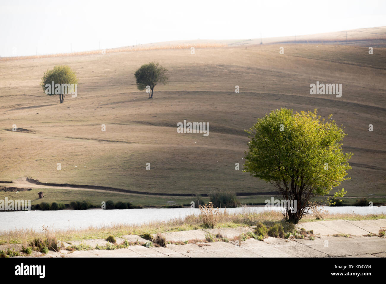 Landscape hill three trees hi-res stock photography and images - Alamy