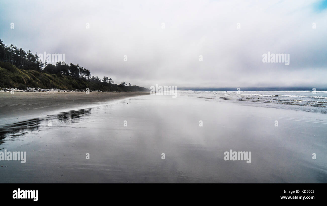 Kalaloch Beach in Olympic National Park, Washington. Beaches in the ...