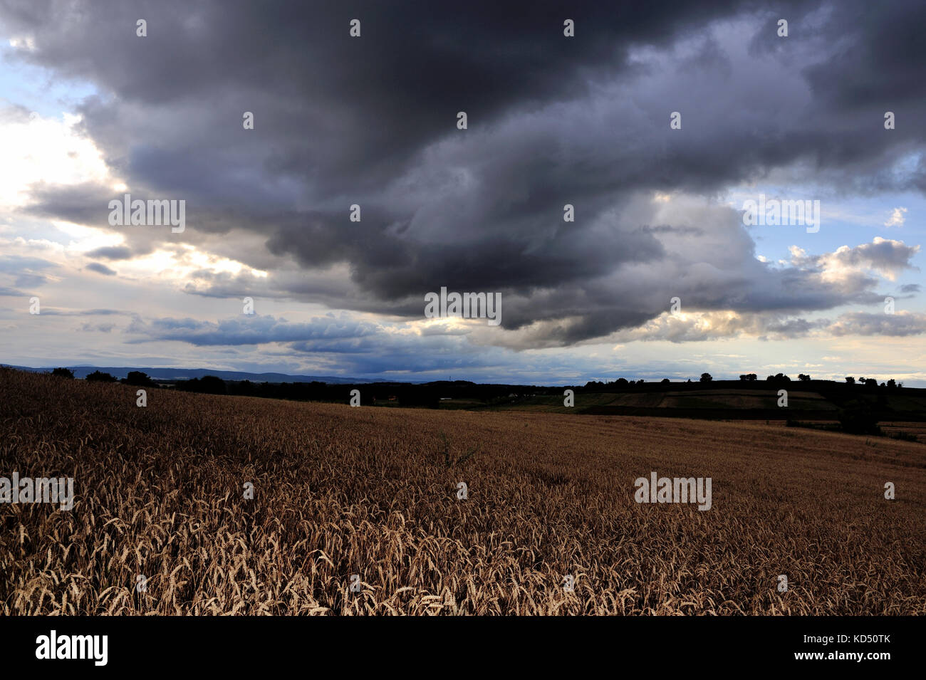 air, atmosphere, blue, climate, clouds, cumulus, nature, season, sky ...