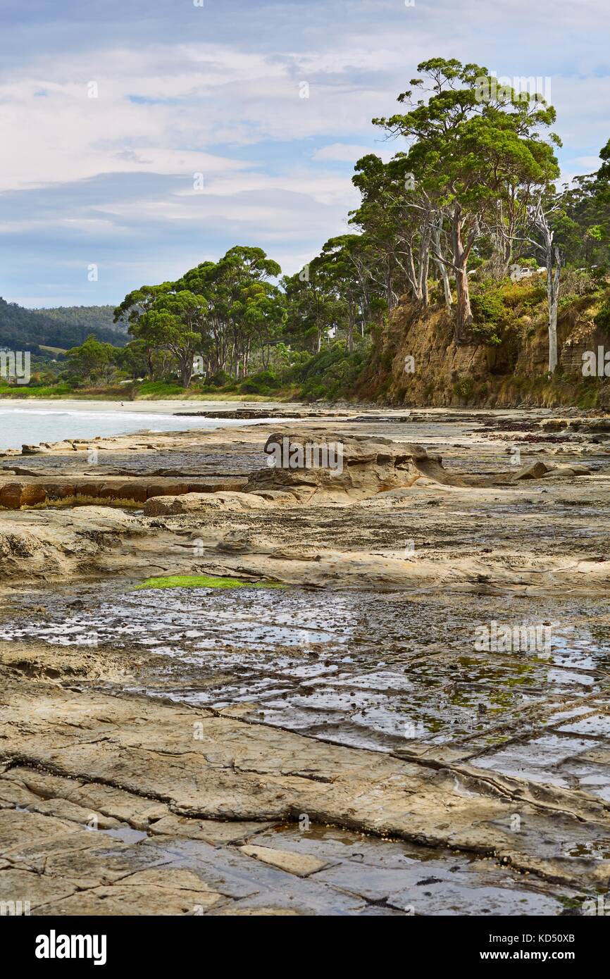 Landscape in Tasmania Stock Photo - Alamy