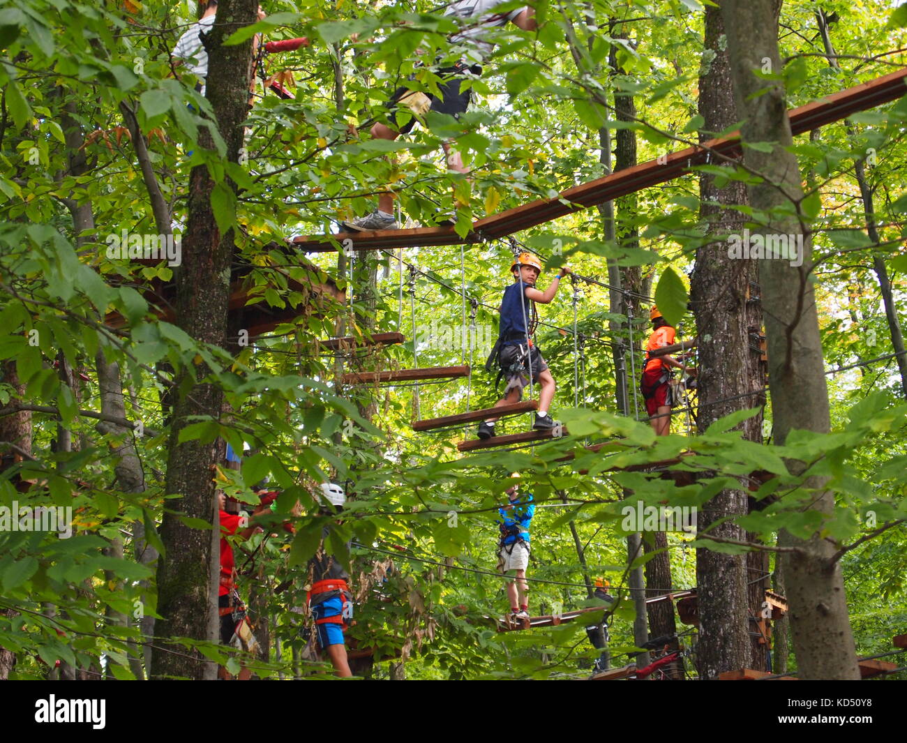 Members of the public zip-lining and navigating the treetop aerial park ...