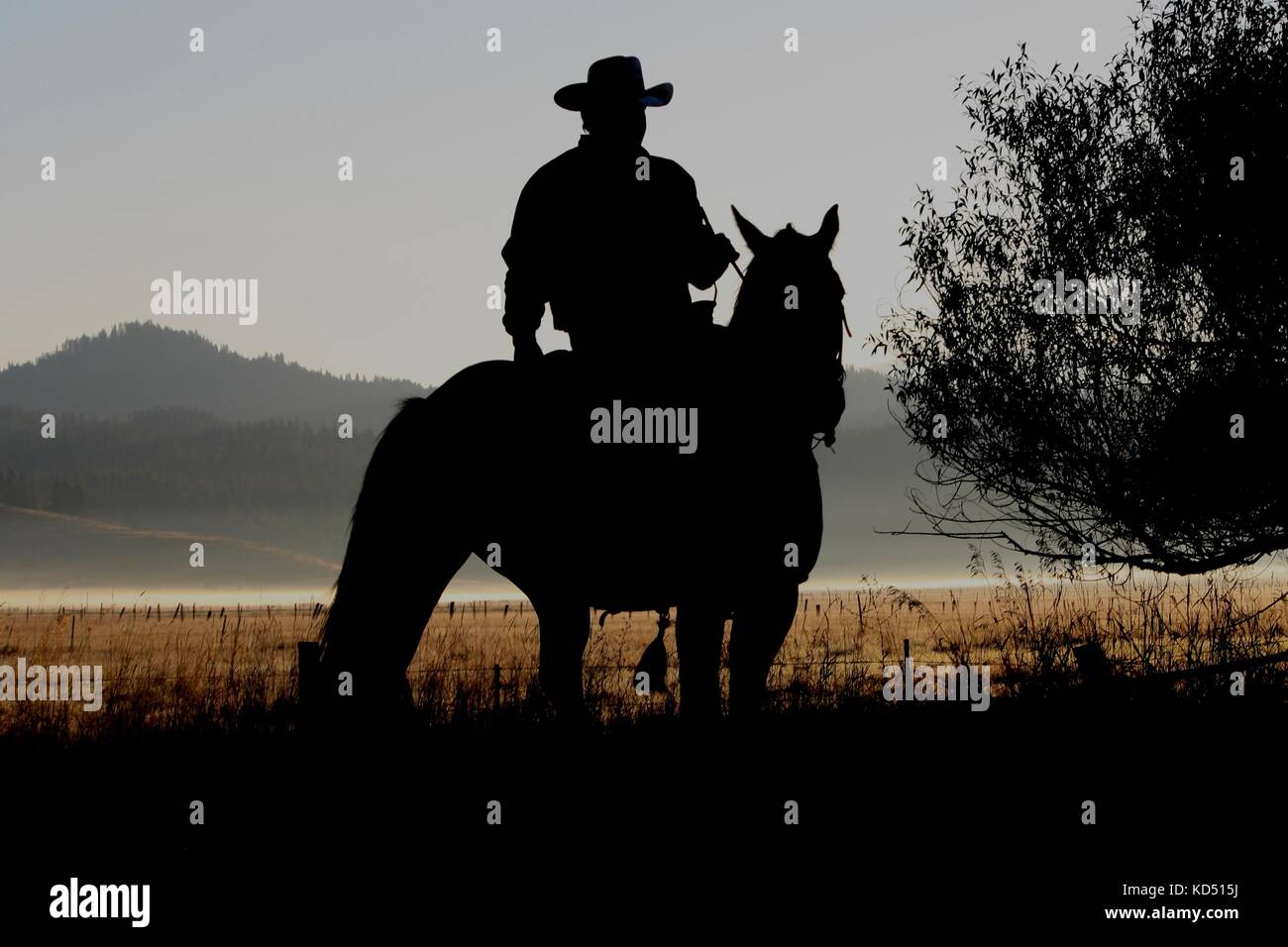 love nature, northwest and texas Stock Photo - Alamy