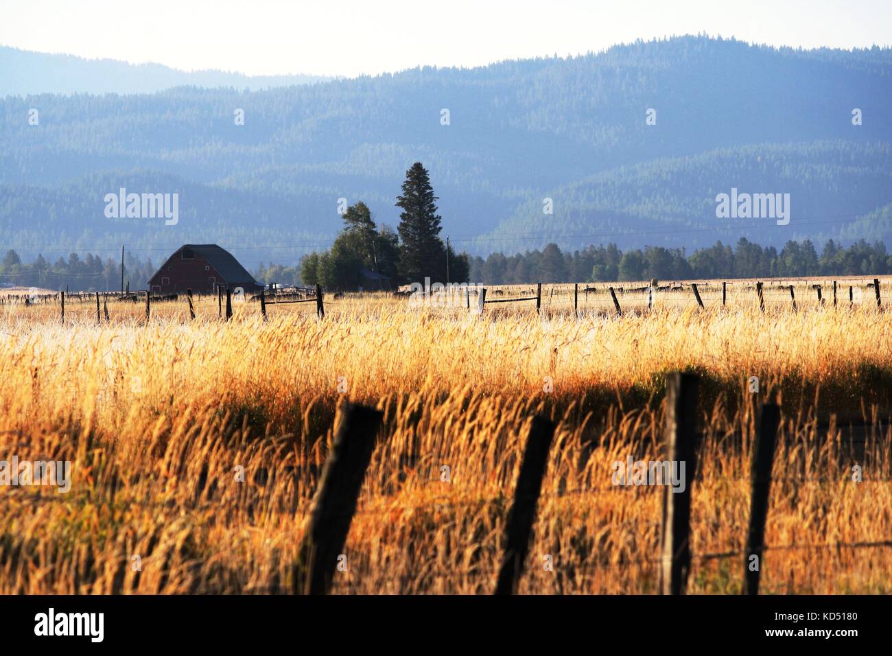 love nature, northwest and texas Stock Photo - Alamy