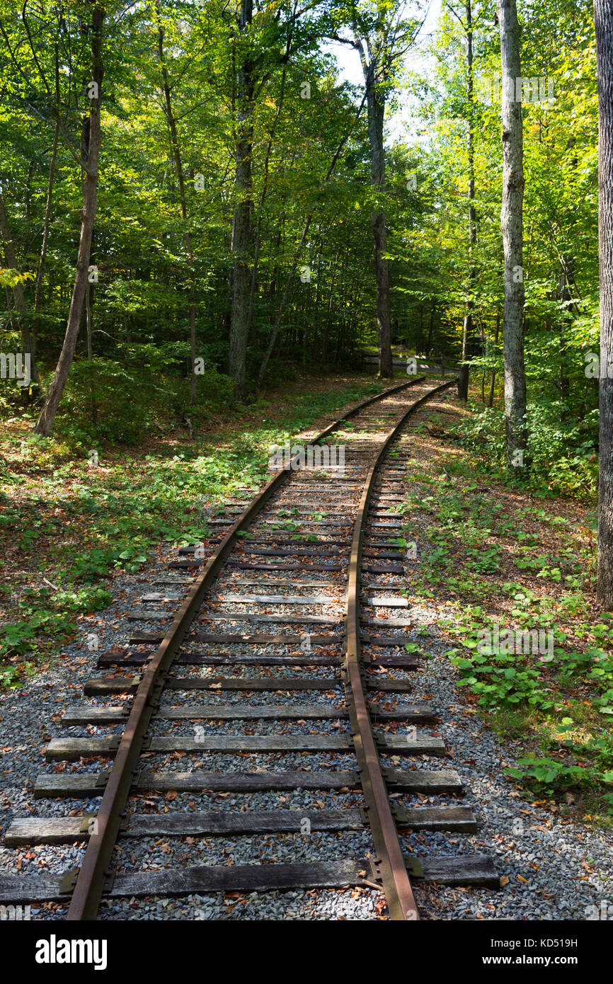 Railroad track winding its way through deciduous trees that are bright ...