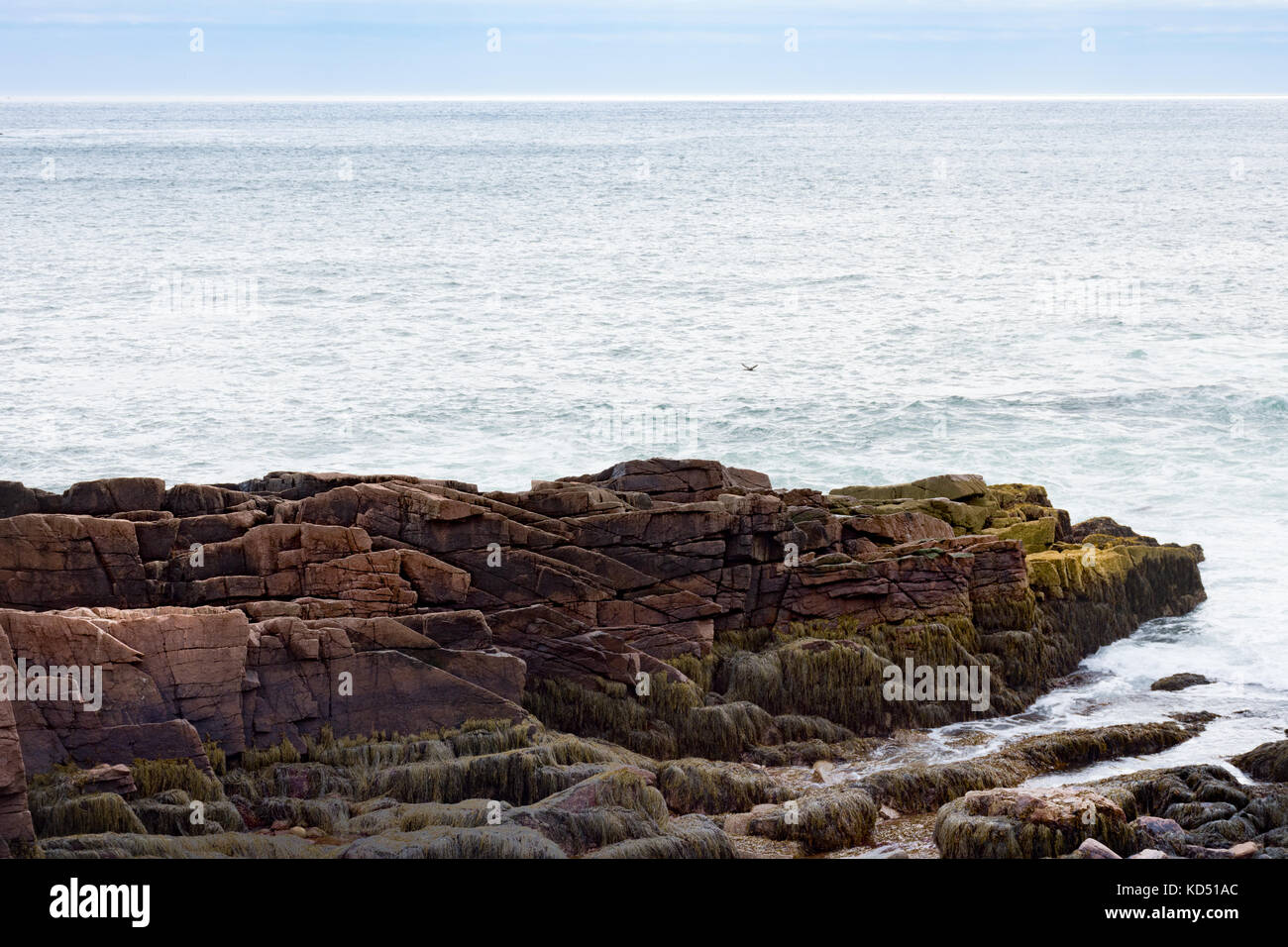 A rocky outcrop jutting into the Atlantic Ocean. The rocks have sea ...