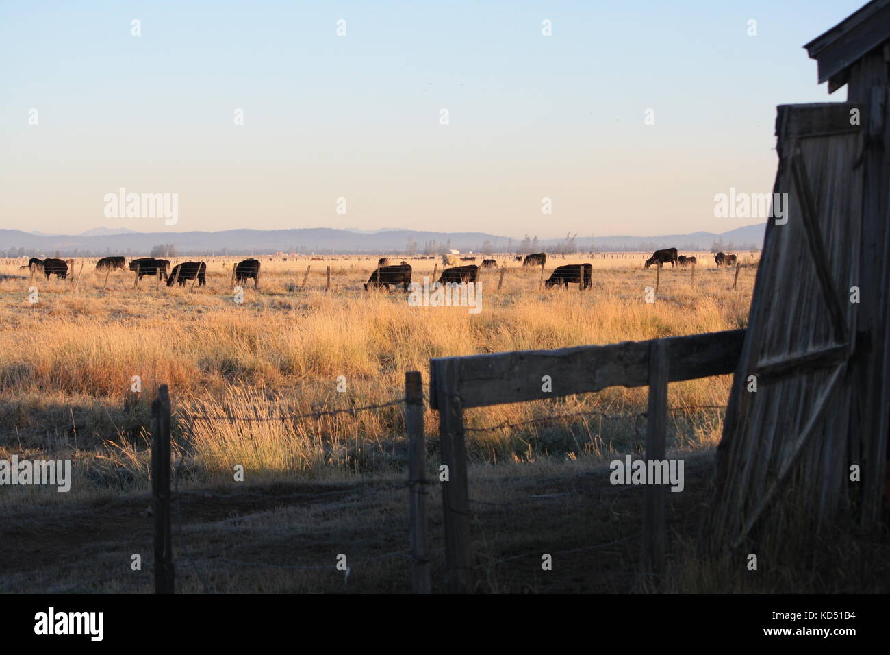 love nature, northwest and texas Stock Photo - Alamy