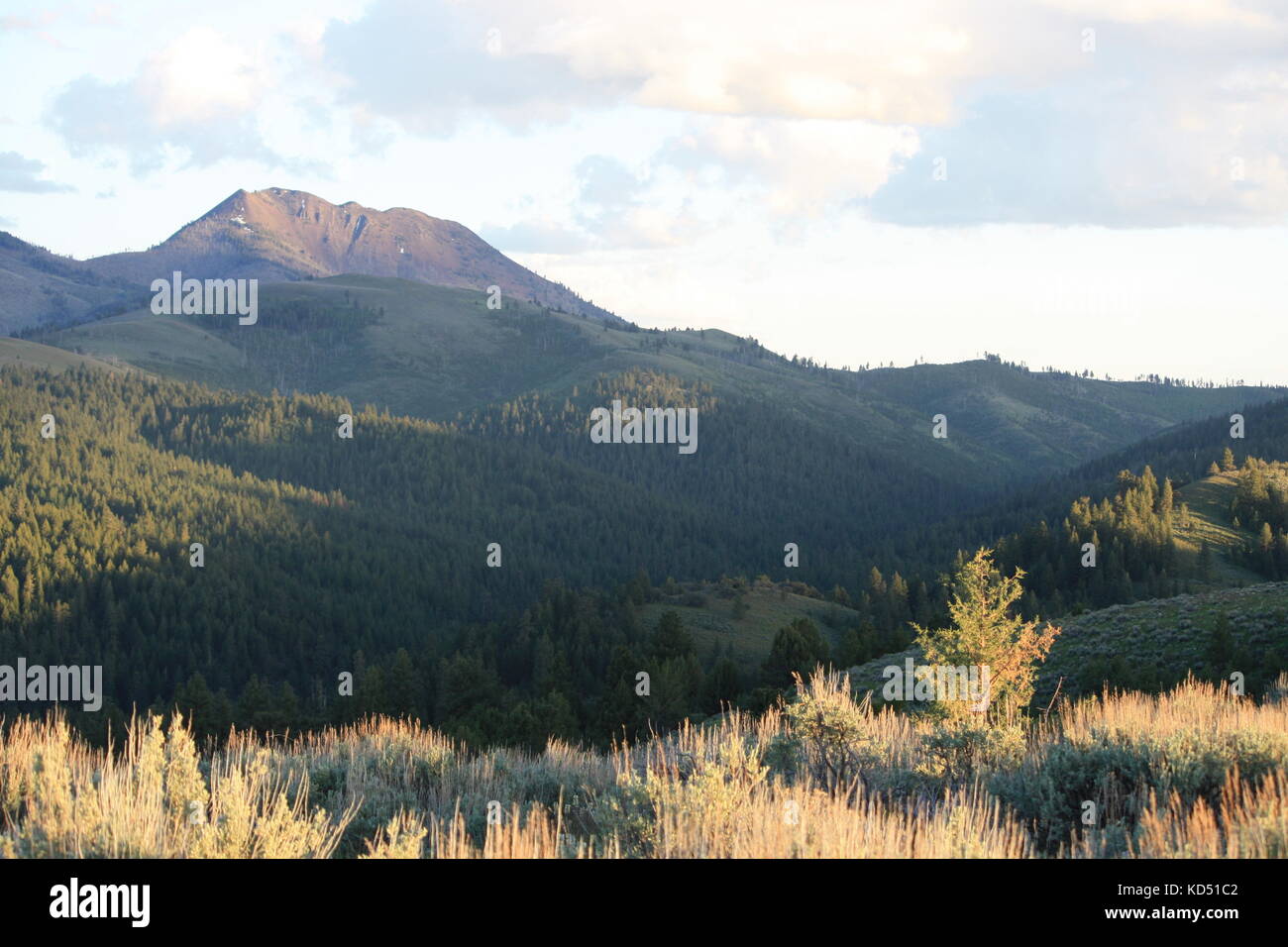 love nature, northwest and texas Stock Photo - Alamy
