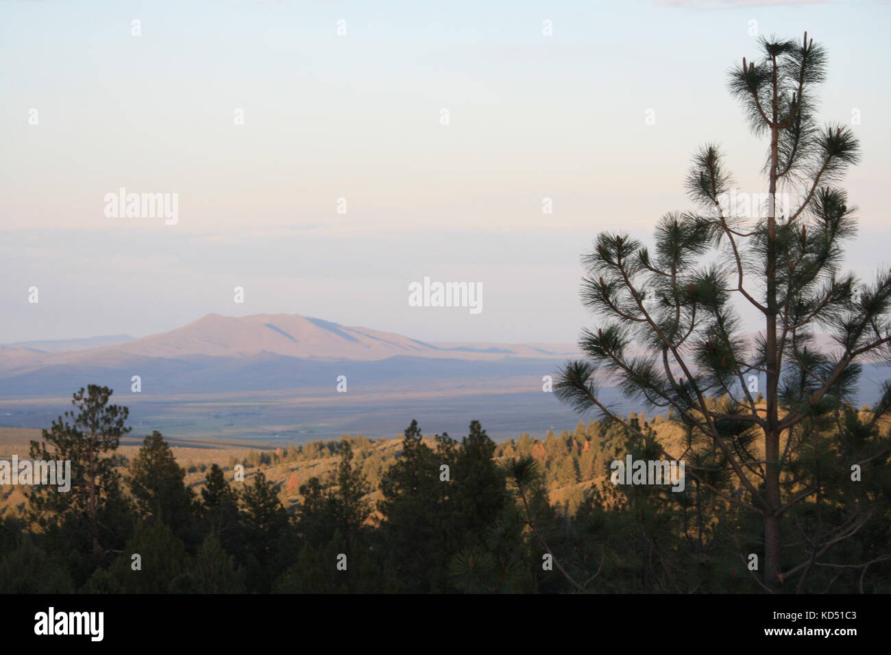 love nature, northwest and texas Stock Photo - Alamy