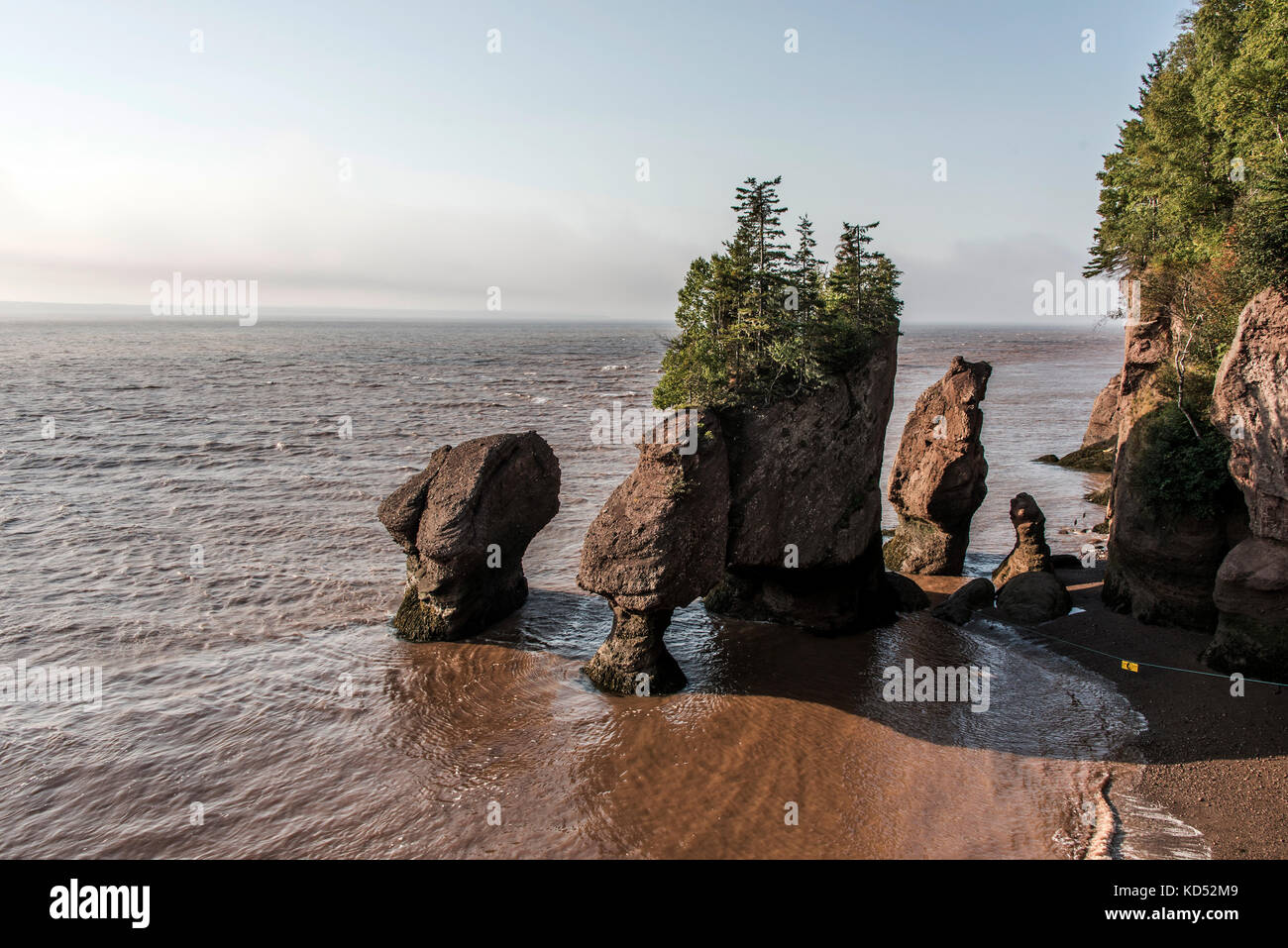 Sunrise at famous Hopewell Rocks geologigal formations at low tide ...