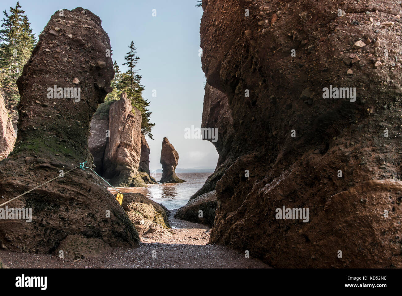 The famous Hopewell Rocks geologigal formations at low tide biggest ...