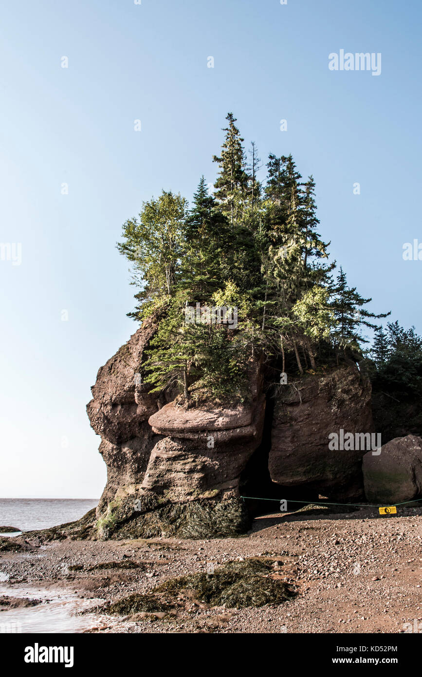 The famous Hopewell Rocks geologigal formations at low tide biggest ...