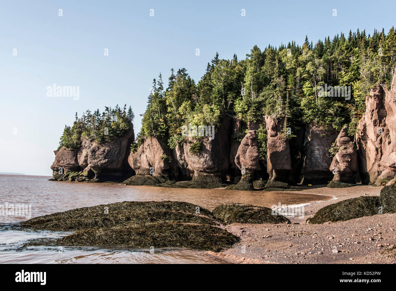 The famous Hopewell Rocks geologigal formations at low tide biggest ...