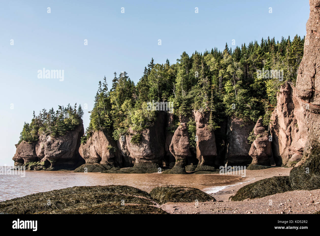 The famous Hopewell Rocks geologigal formations at low tide biggest ...
