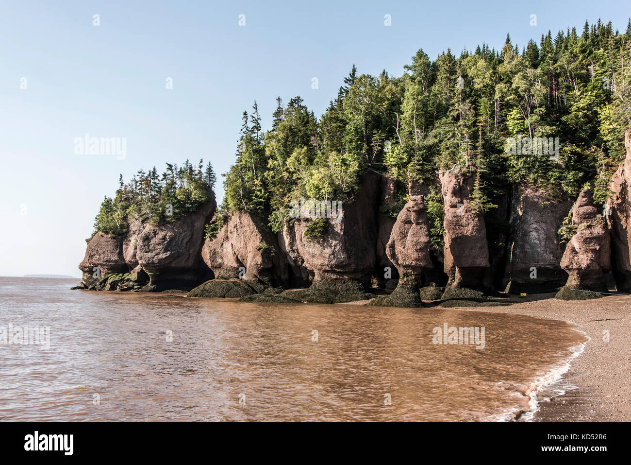 The famous Hopewell Rocks geologigal formations at low tide biggest ...