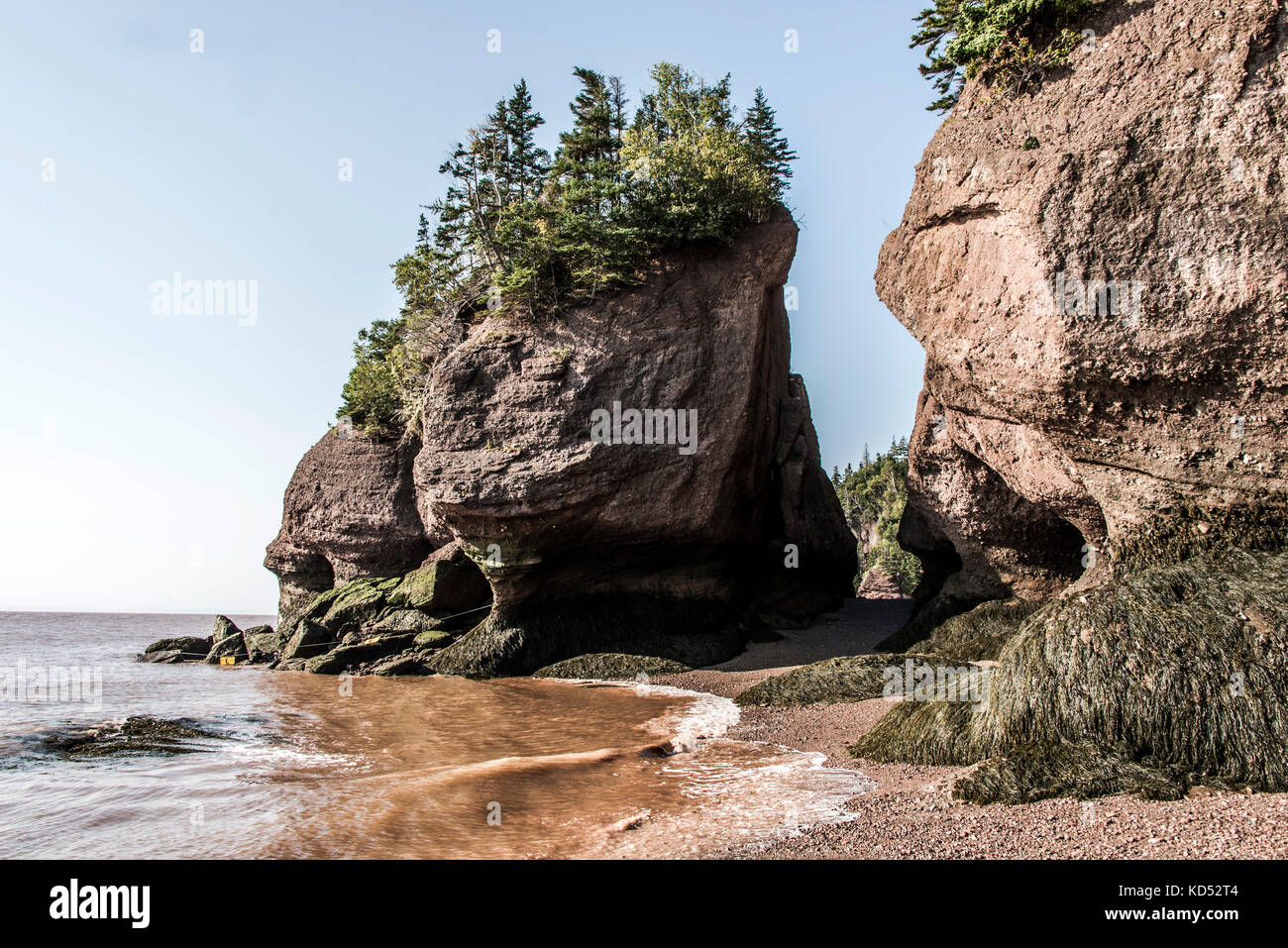 The famous Hopewell Rocks geologigal formations at low tide biggest ...
