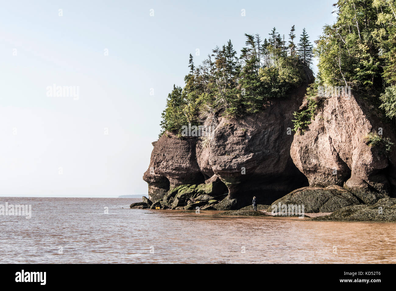 The famous Hopewell Rocks geologigal formations at low tide biggest ...