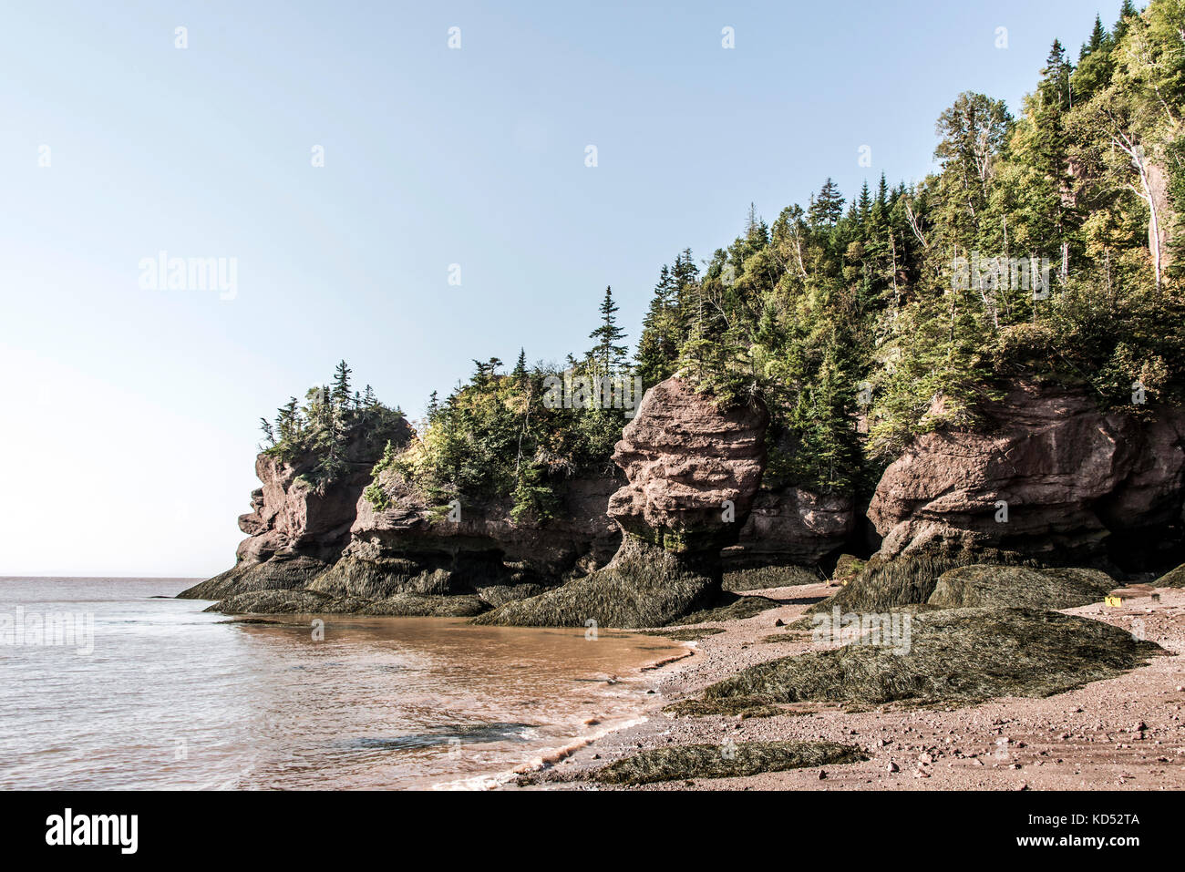 The famous Hopewell Rocks geologigal formations at low tide biggest ...