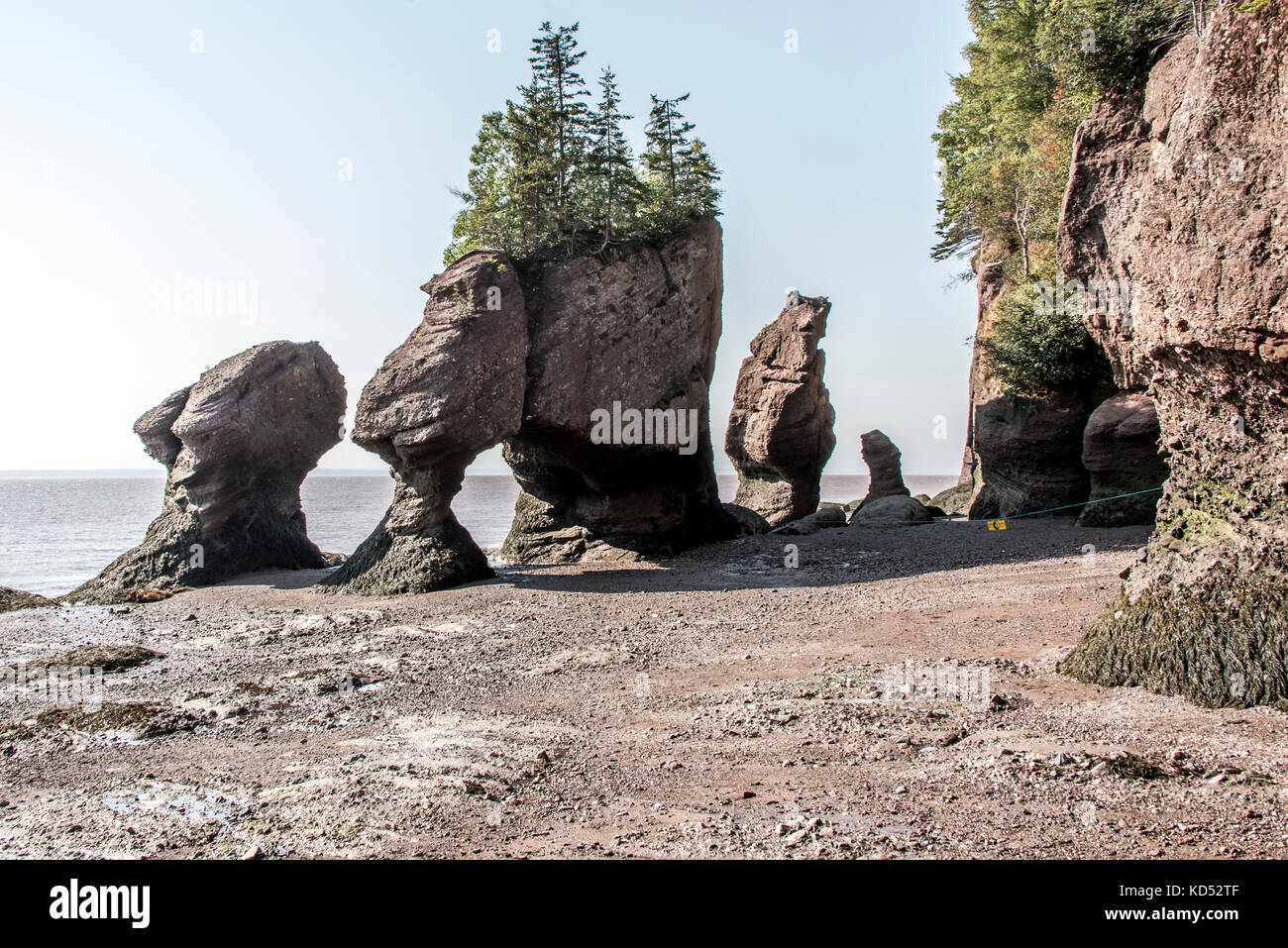 The famous Hopewell Rocks geologigal formations at low tide biggest ...