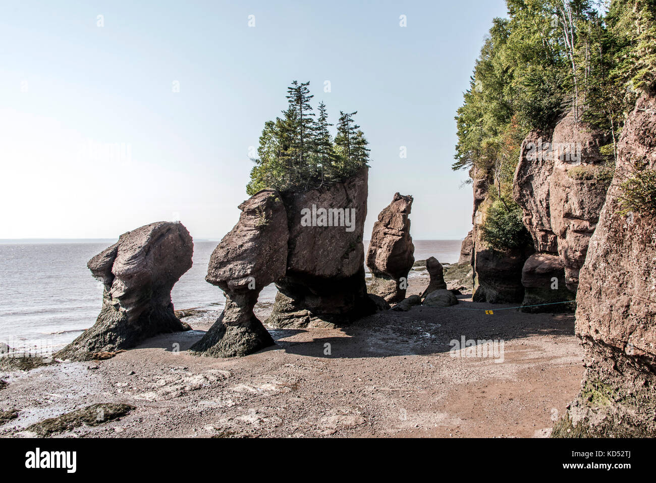 The famous Hopewell Rocks geologigal formations at low tide biggest ...