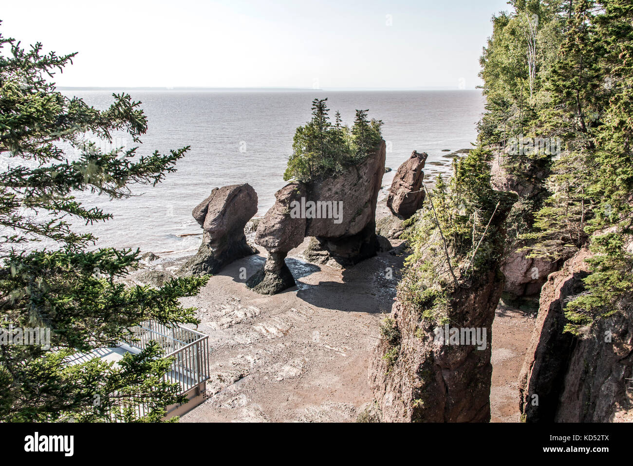 The famous Hopewell Rocks geologigal formations at low tide biggest ...