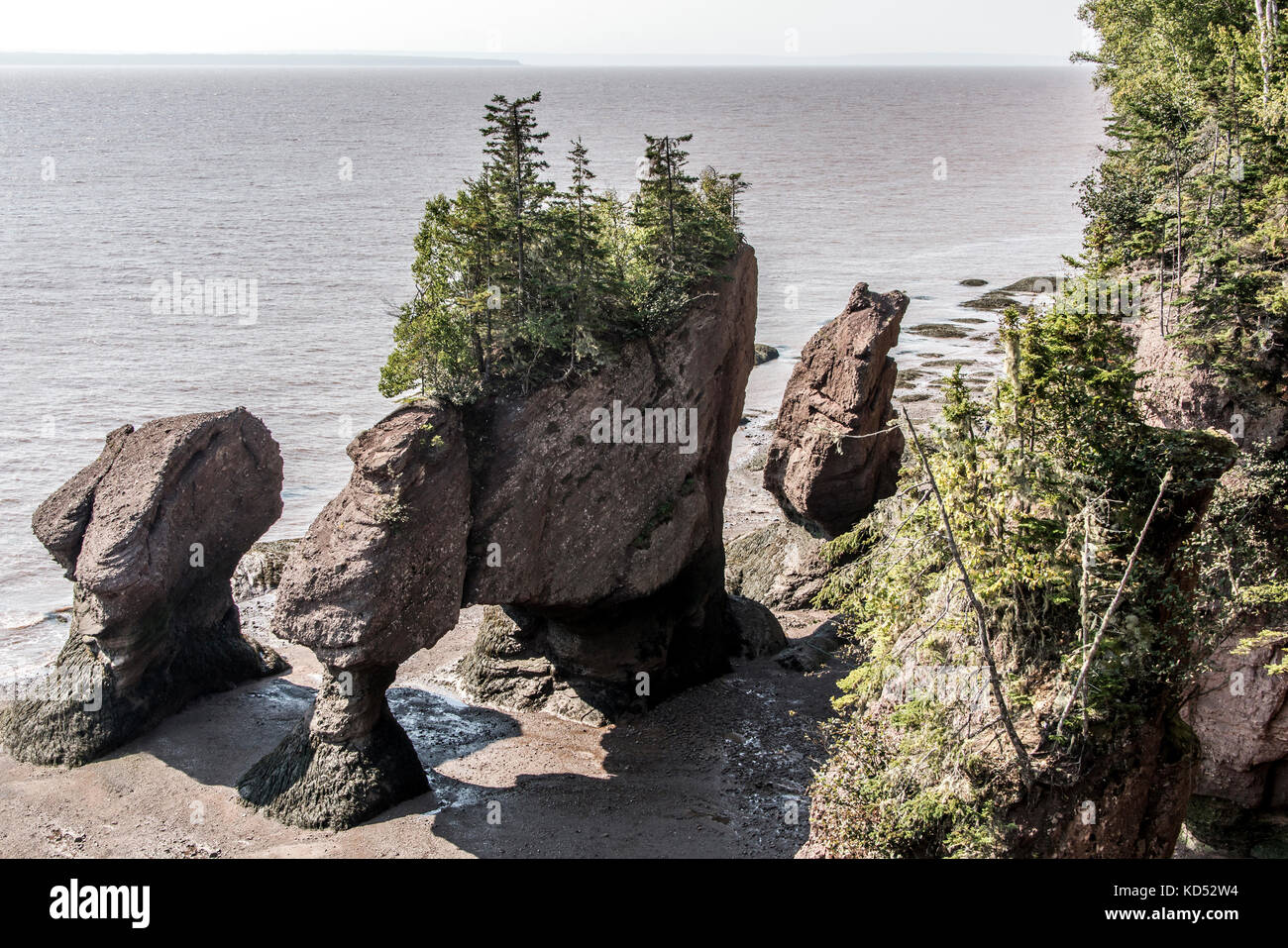 The famous Hopewell Rocks geologigal formations at low tide biggest ...