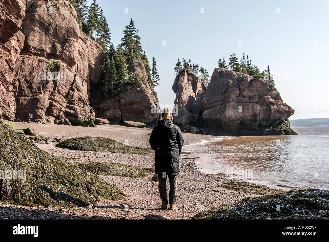 The famous Hopewell Rocks geologigal formations at low tide biggest ...