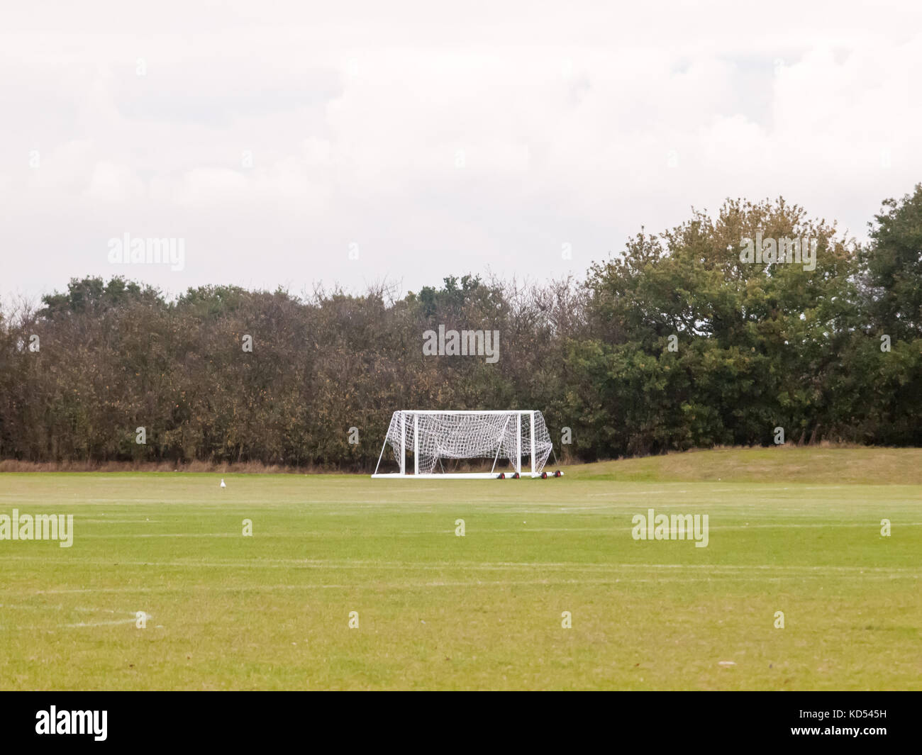 empty football field with goal post and net; essex; england; uk Stock ...