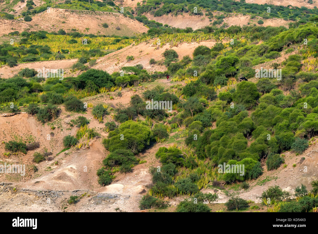 Scenic view of Olduvai Gorge Stock Photo - Alamy