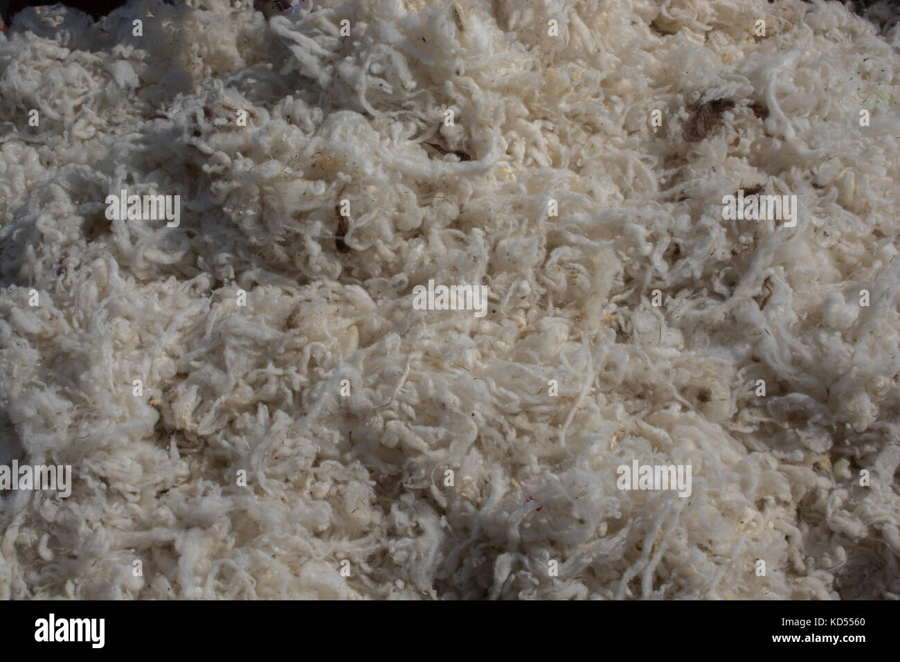 Heap of wool as a texture background Stock Photo - Alamy