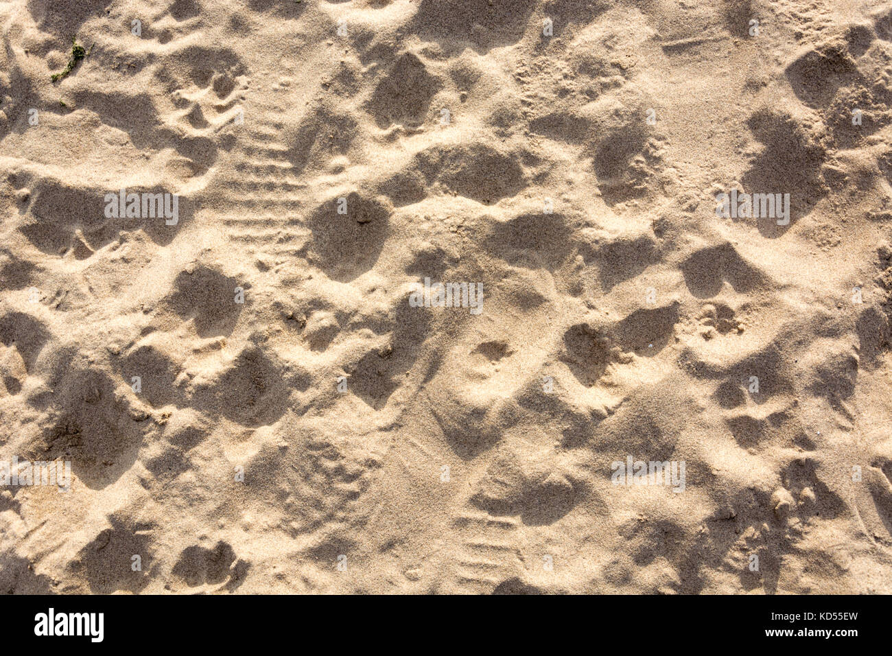 Sand texture as a background as seen from above Stock Photo - Alamy