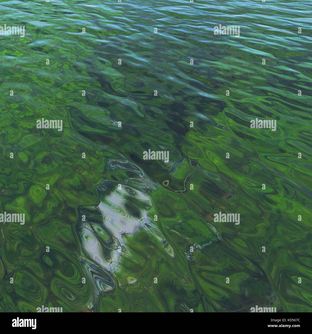 Abstract green beautiful water background Stock Photo - Alamy