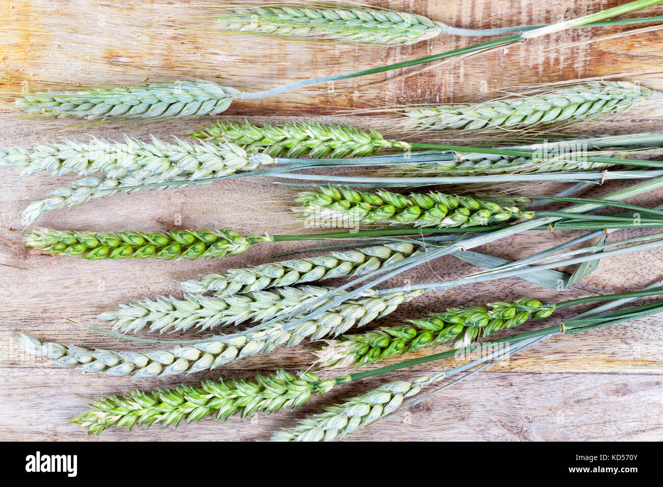 Wheat grain seed sample hi-res stock photography and images - Alamy