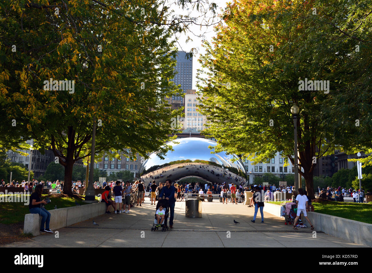 Indian bean trees hi-res stock photography and images - Alamy