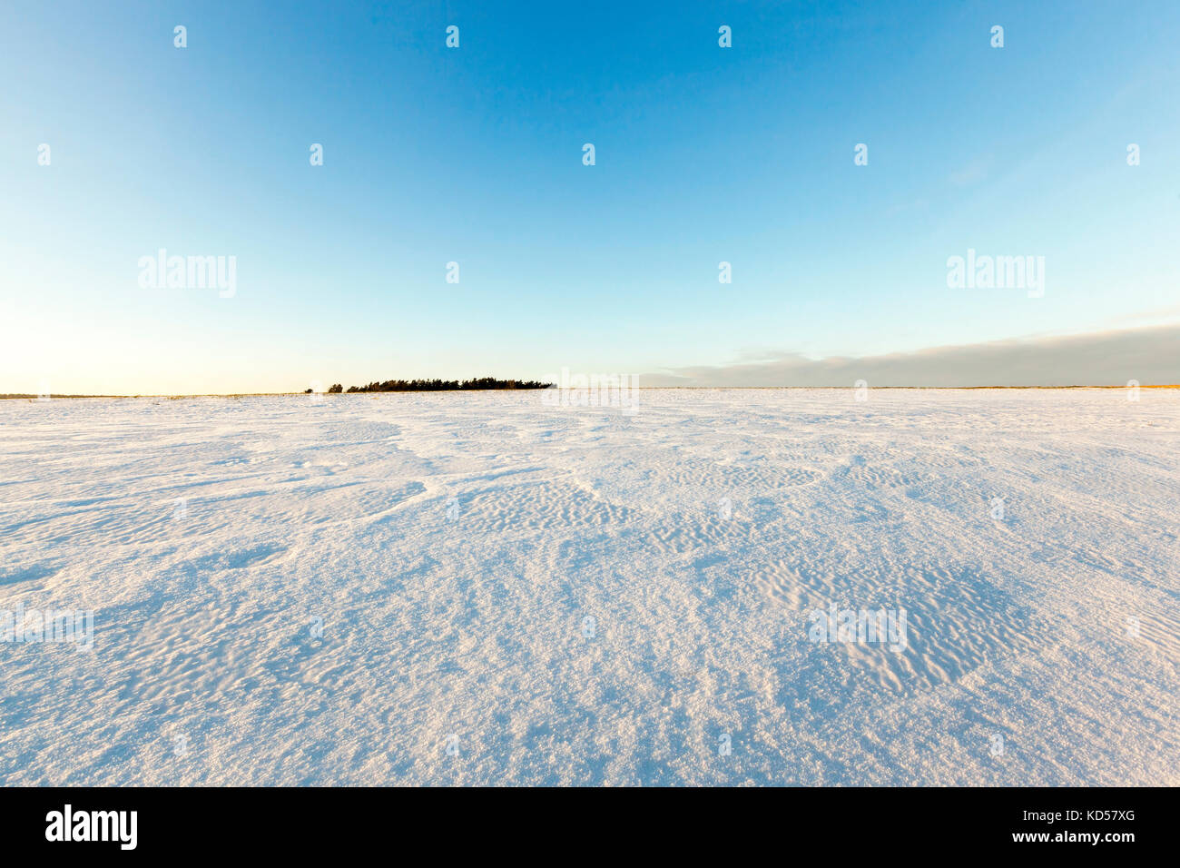Photo of snow, close-up Stock Photo - Alamy