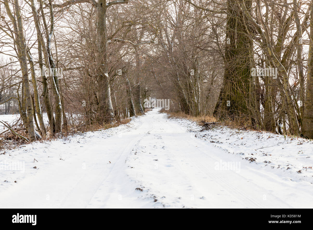 Scenics seasons light hi-res stock photography and images - Alamy