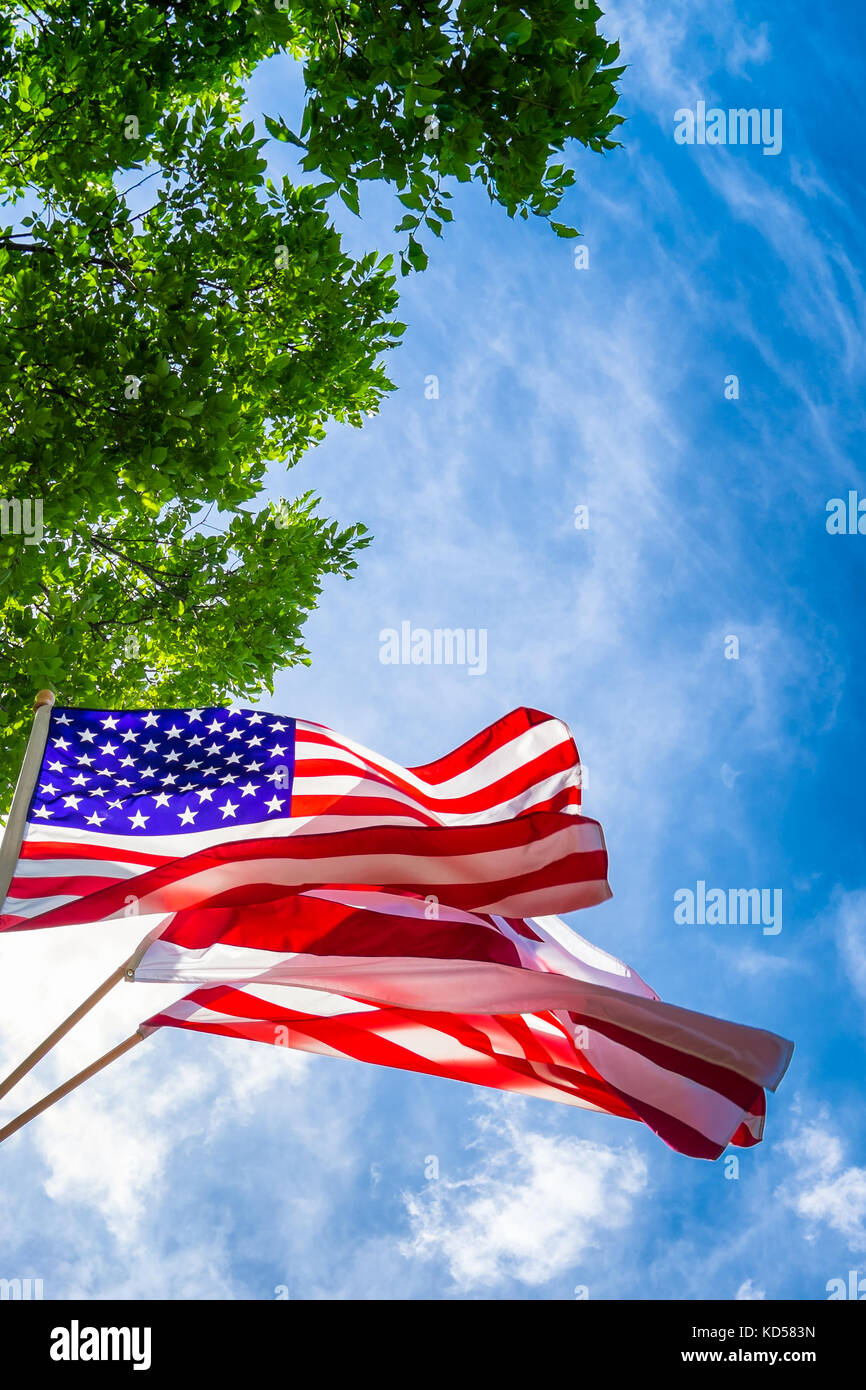 American flags waving with motion blur against blue sky and green leafy ...