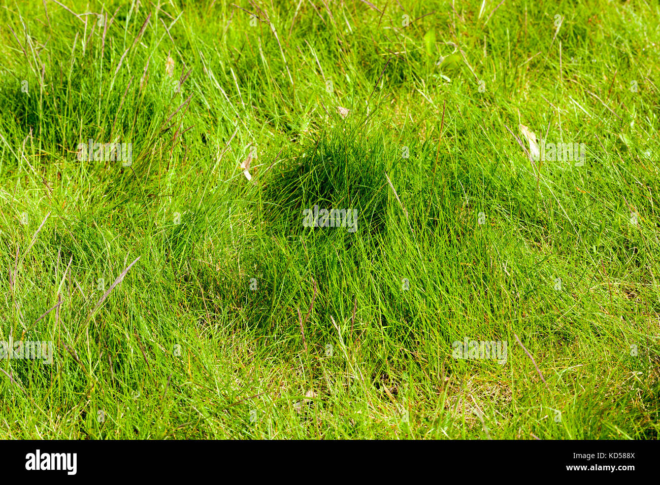 Saturated photo hi-res stock photography and images - Alamy