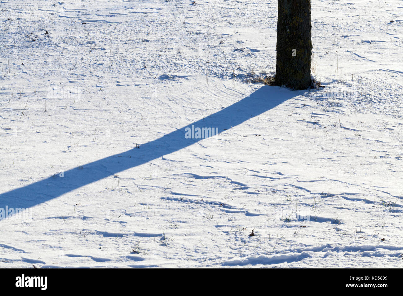 Shadows in the snow Stock Photo - Alamy