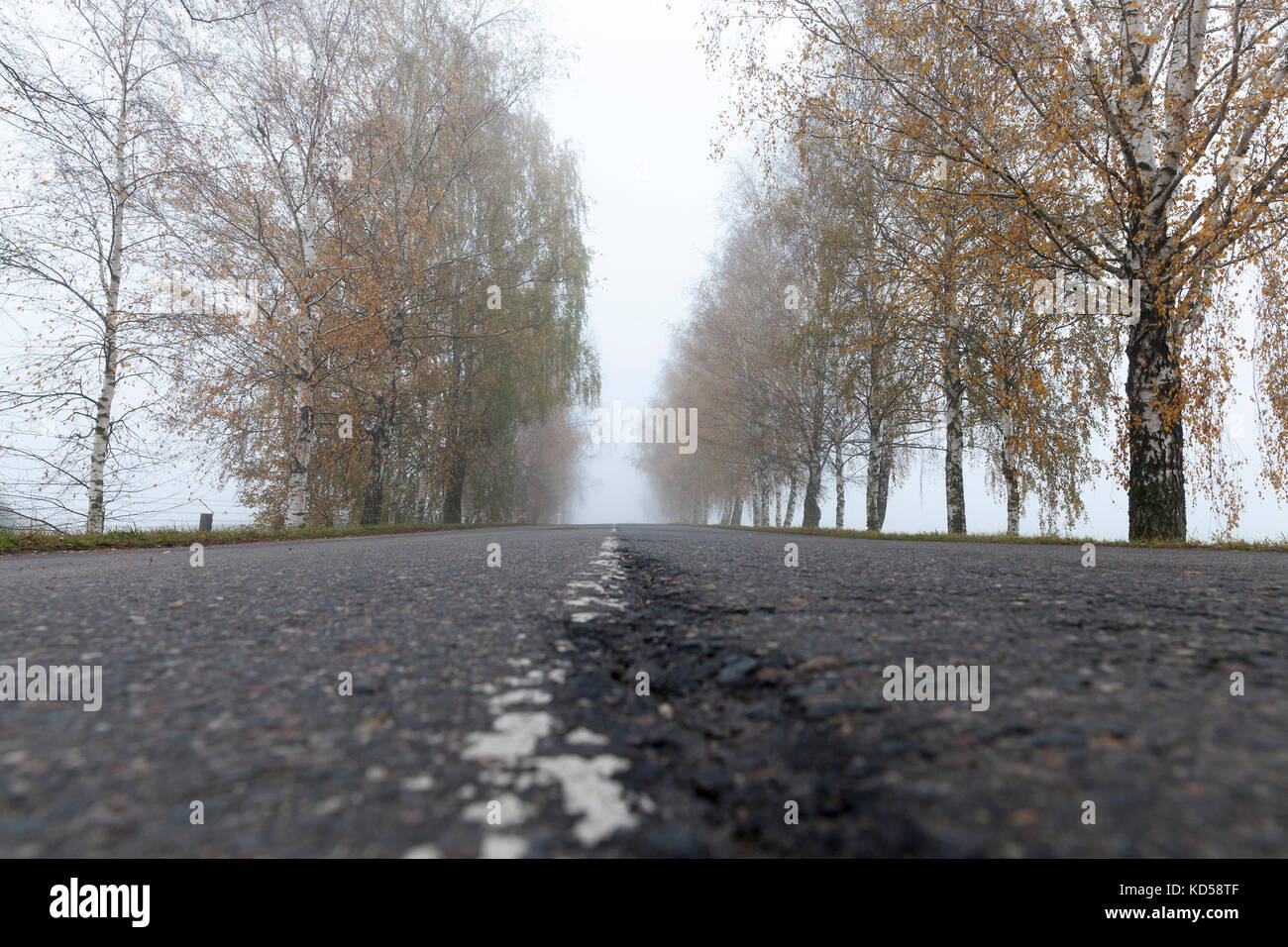 Asphalt road into the fog Stock Photo - Alamy