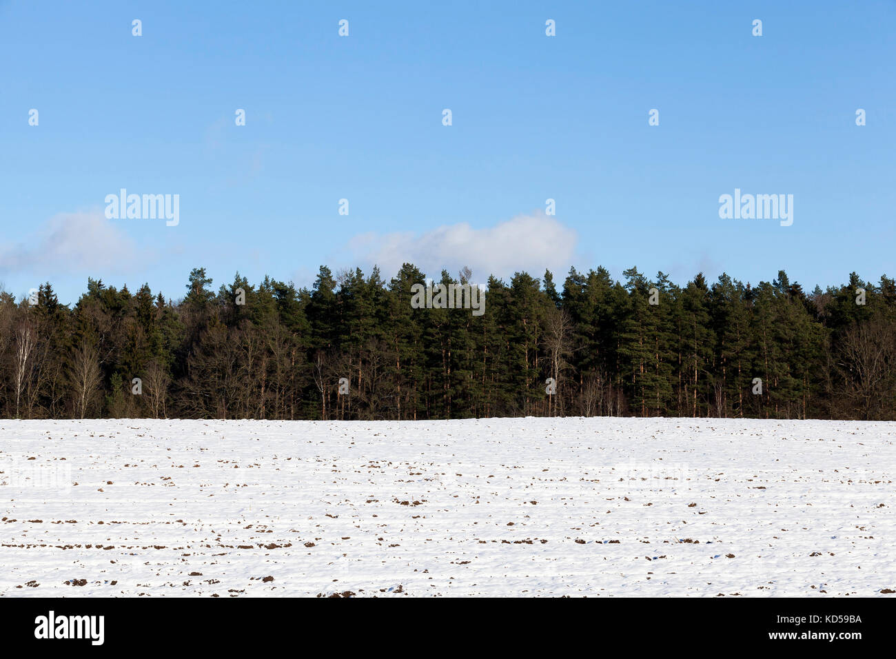 Aerial new forest high up hi-res stock photography and images - Alamy
