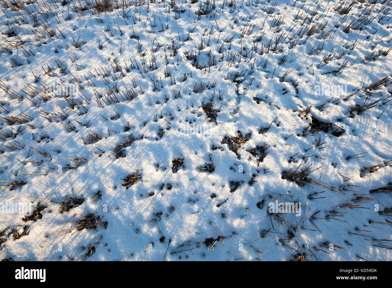 Snow drifts in winter Stock Photo - Alamy