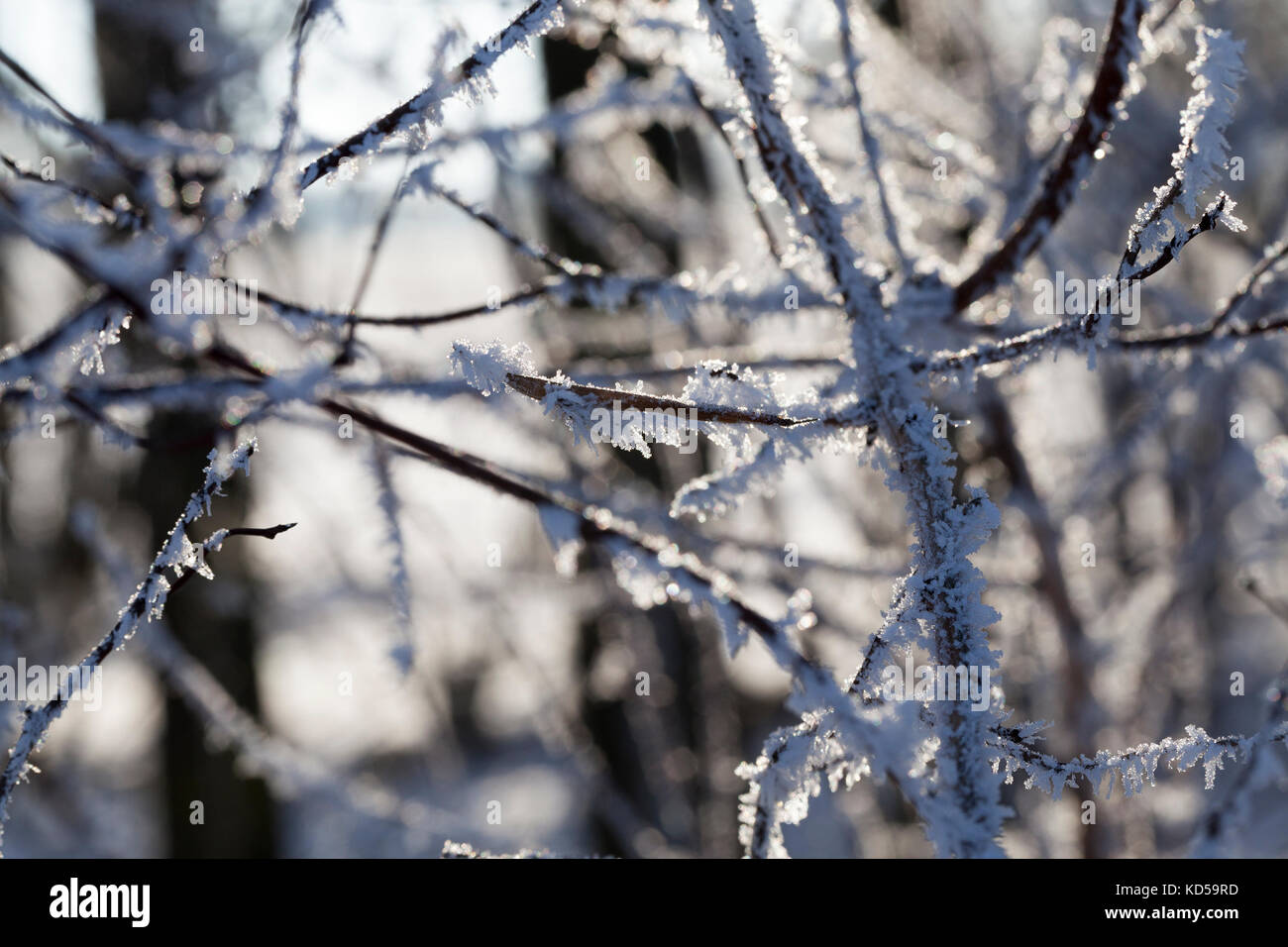 Temperature light hi-res stock photography and images - Alamy