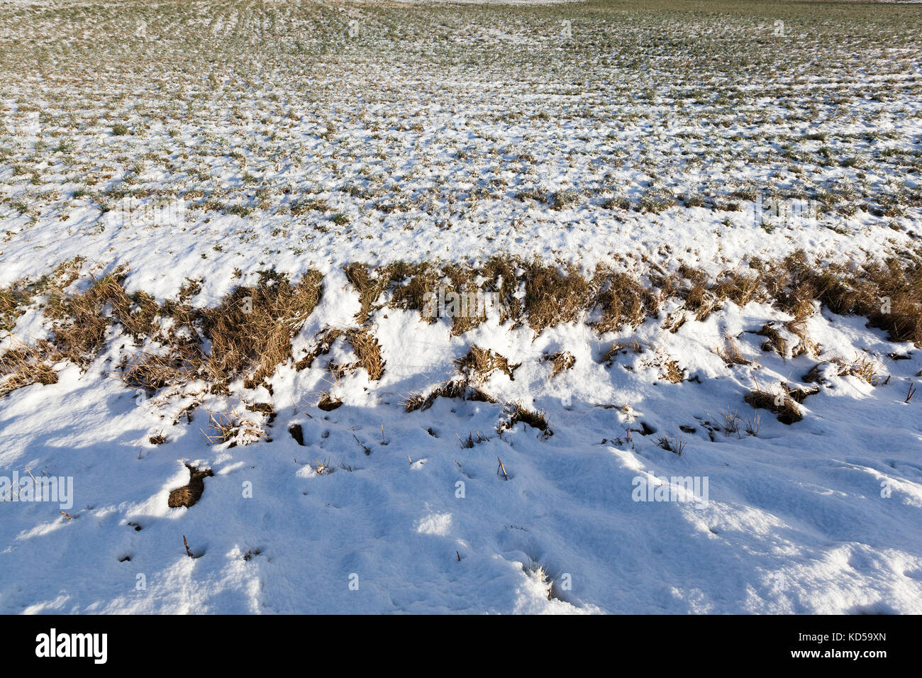 Snow drifts in winter Stock Photo - Alamy