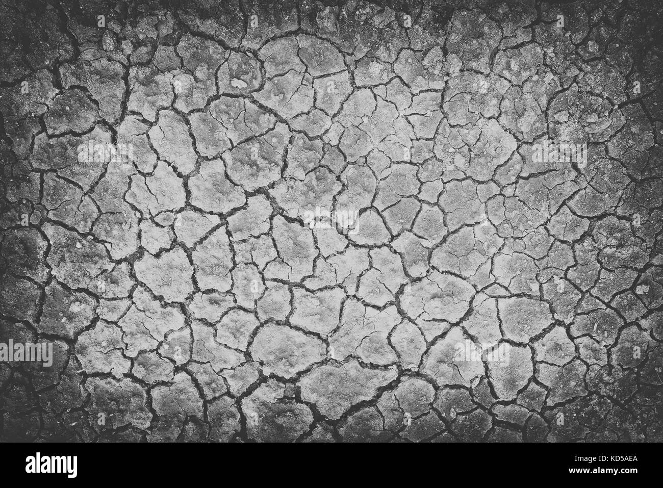 Effects Of Soil Texture
