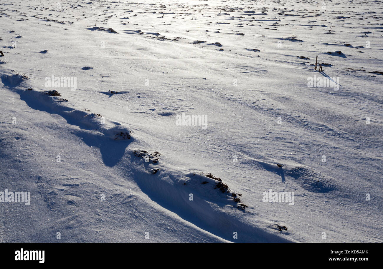 Snow drifts in winter Stock Photo - Alamy