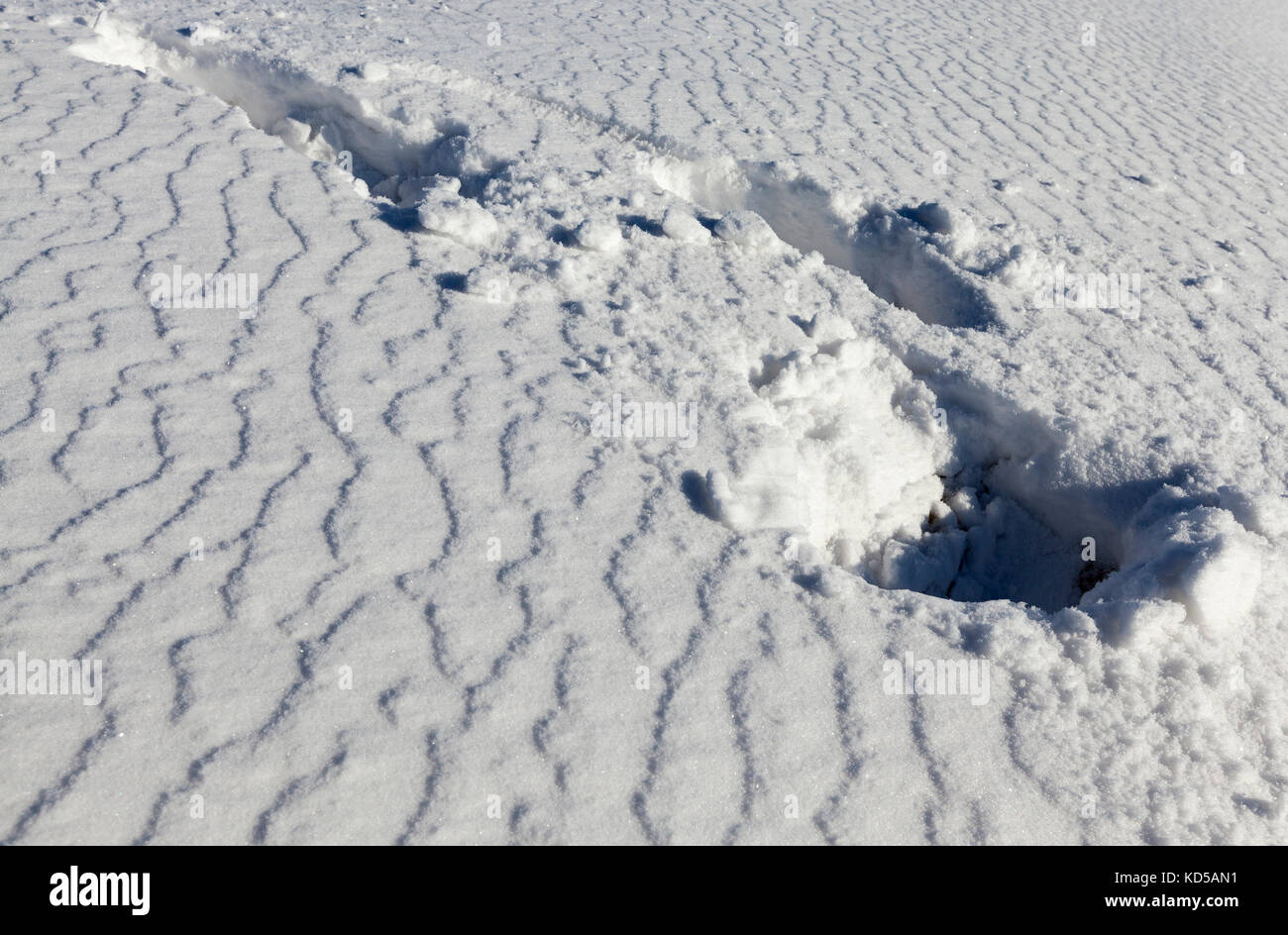 Snow surface, winter Stock Photo - Alamy