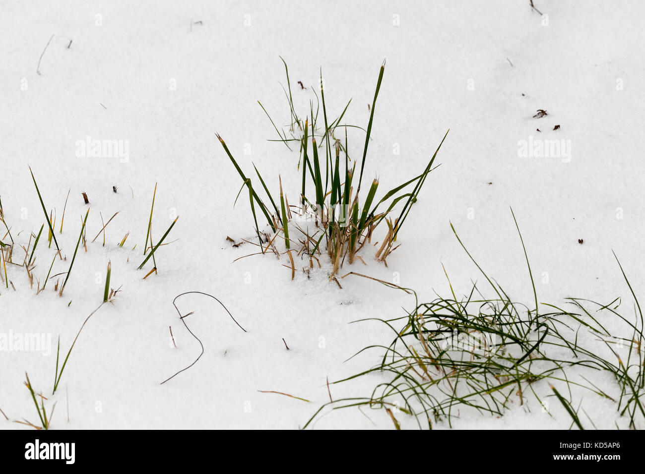 Snow drifts in winter Stock Photo - Alamy